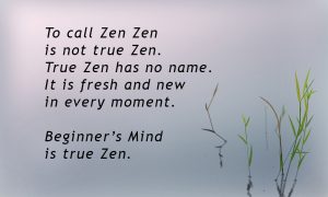 Beginner's Mind - N-lightenment